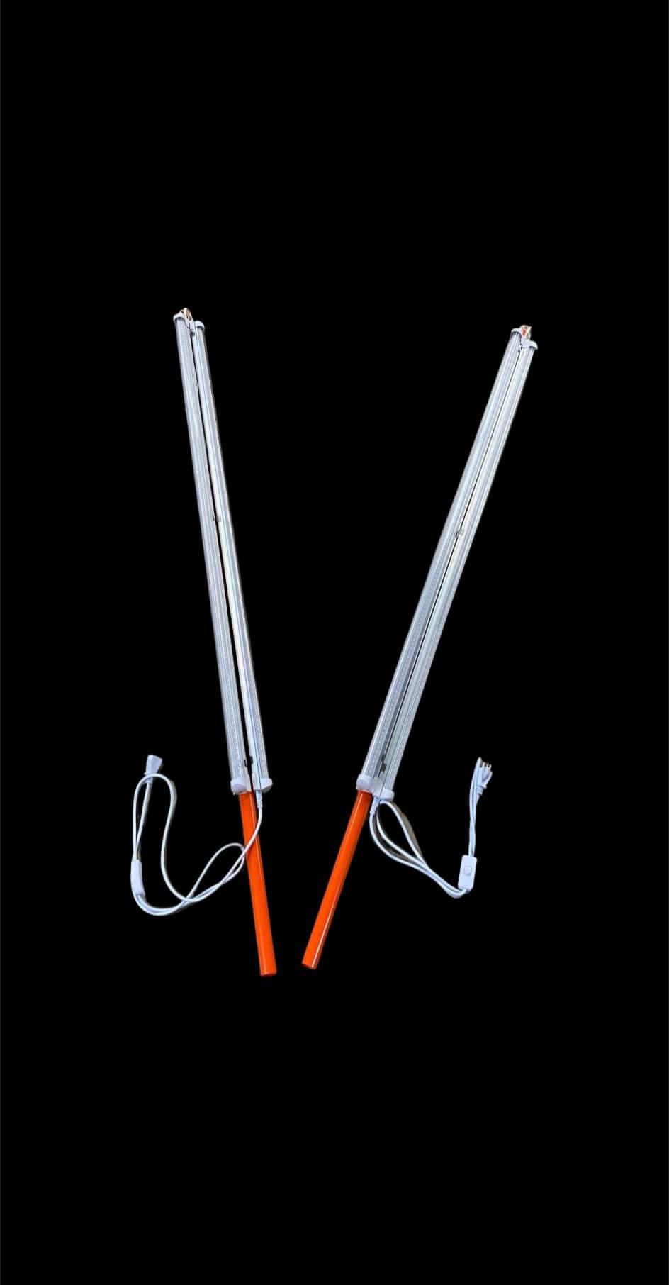 Lizard Lit Pit Lights